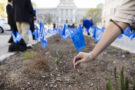 Blue Ribbon Campaign | Pennsylvania Family Support Alliance
